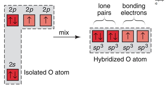 Jimchem: HYBRIDIZATION IN AMMONIA, WATER,ETHYLENE AND ACETYLENE