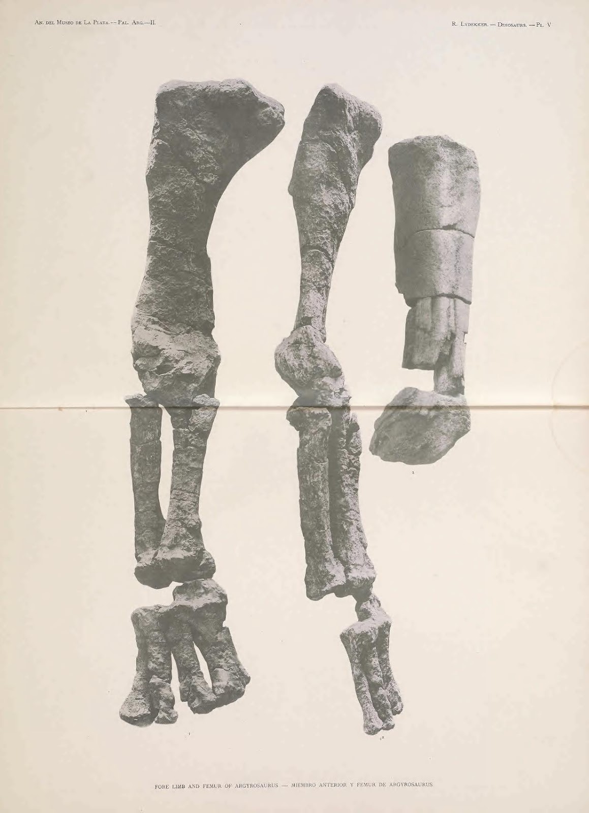 Equatorial Minnesota: Your Friends The Titanosaurs, part 5 ...