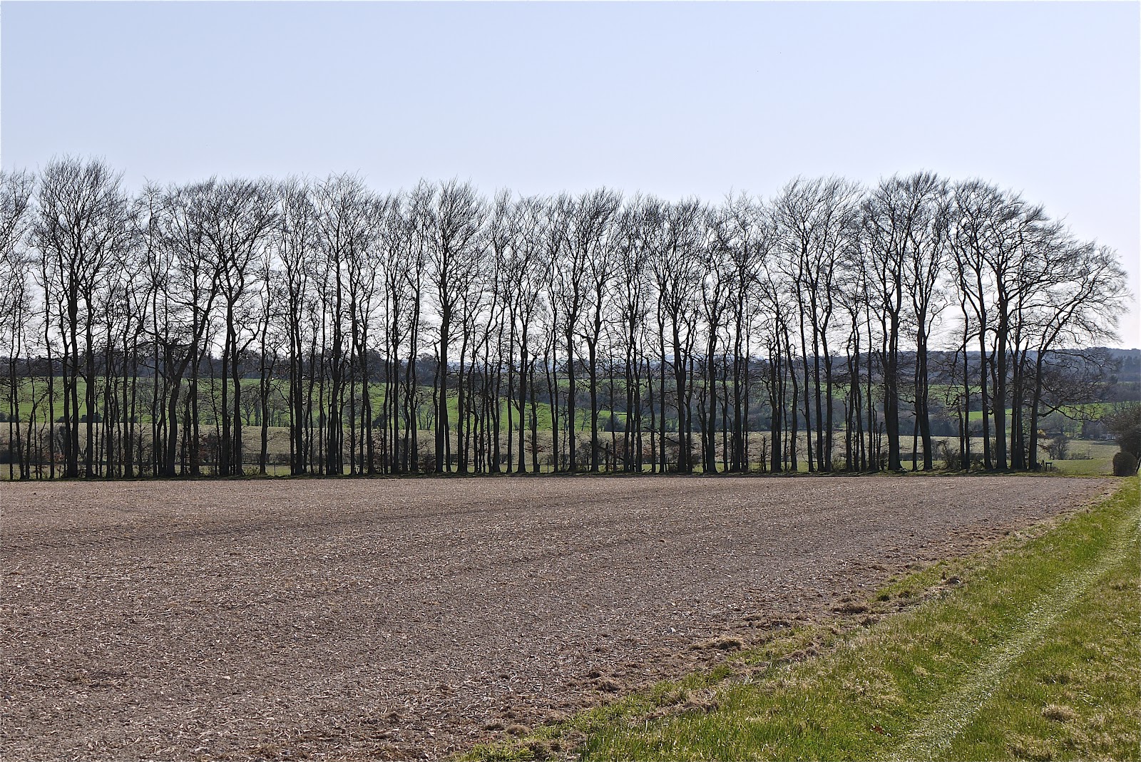 Walking in the country: Breach Farm Cottages to Brown Candover ...
