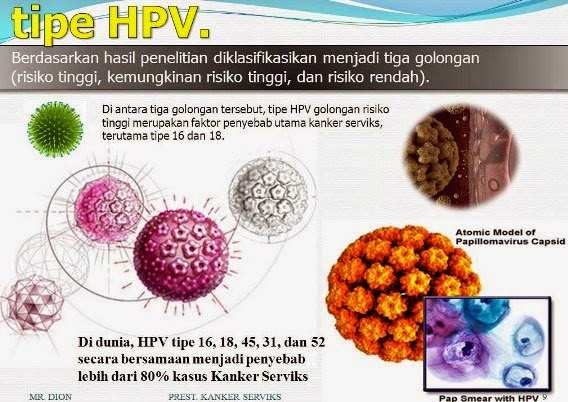 Bagaimana Caranya Agar Virus HPV Tidak Kembali lagi? | Sembuhkan Kutil ...