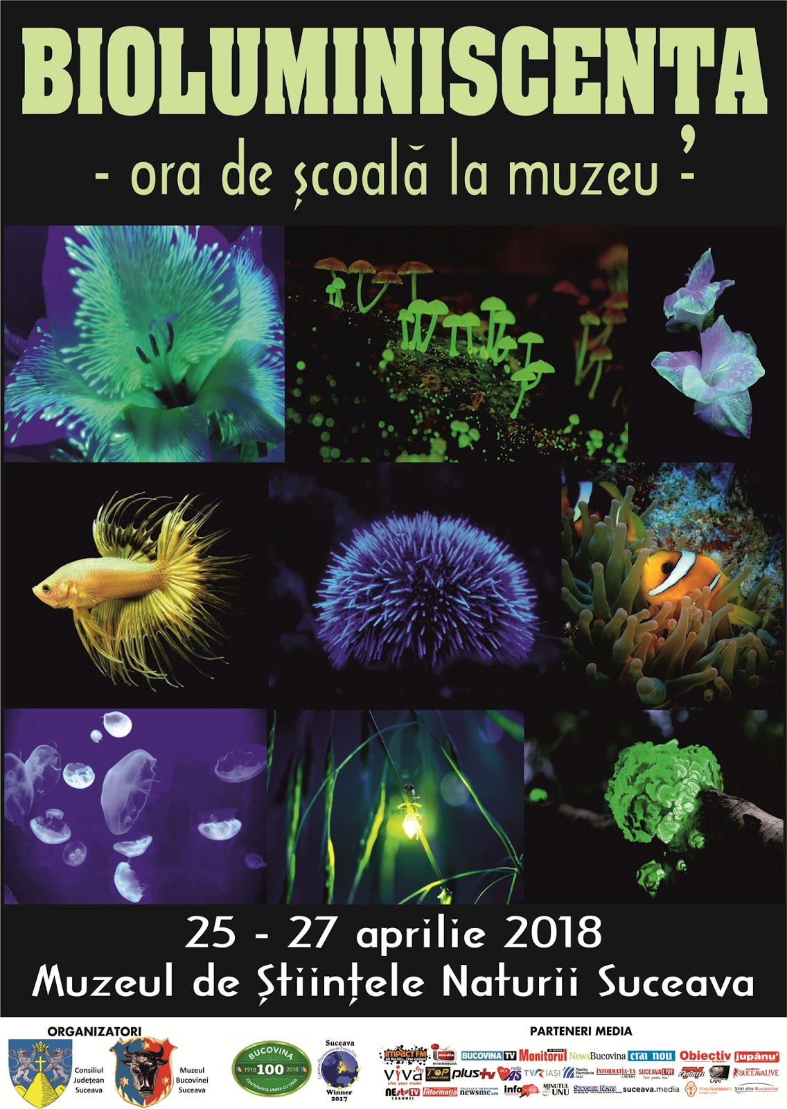 Bioluminiscenta în lumea vie, lecție muzeală la Muzeul de Științele ...