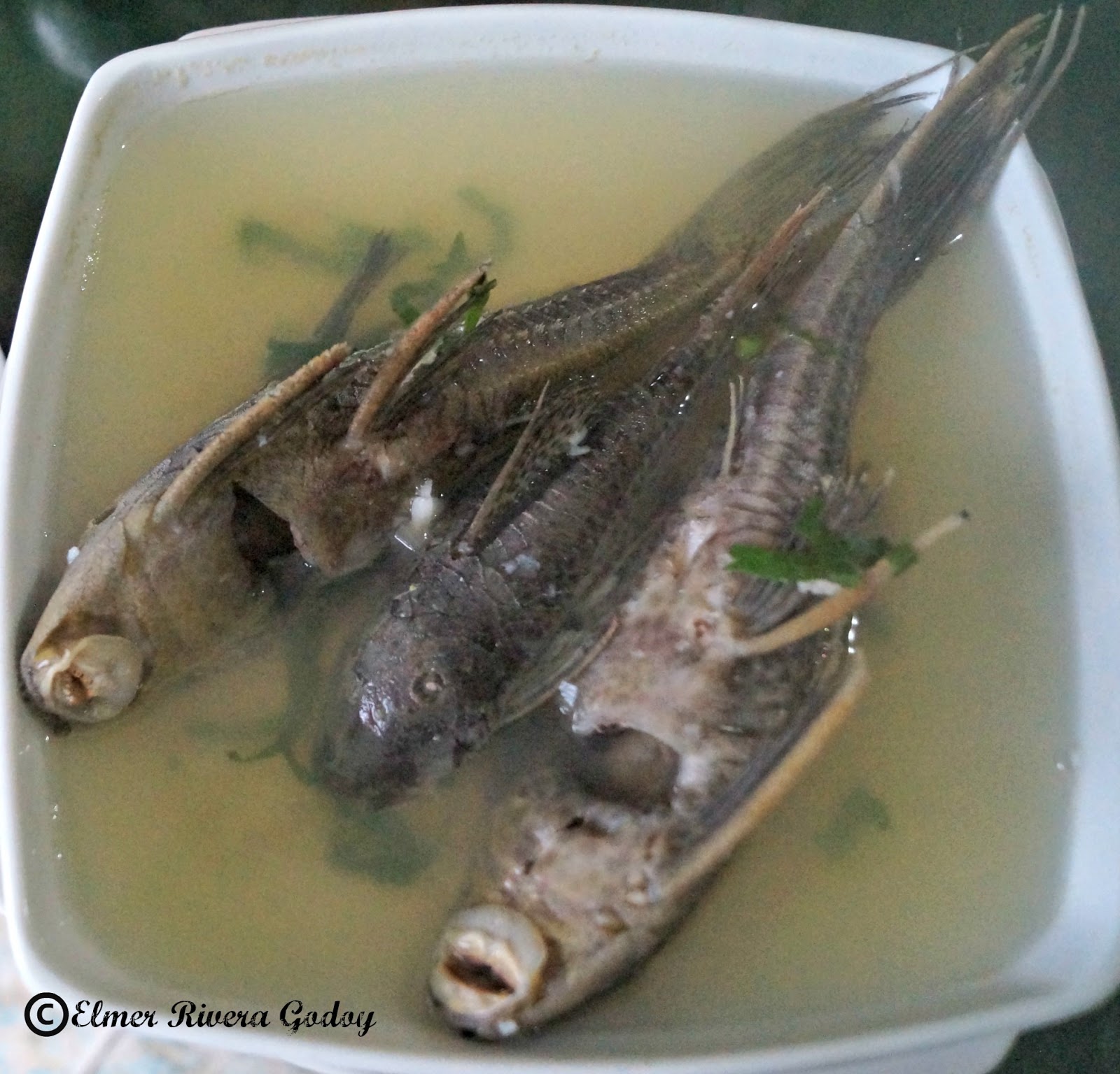 HUÁNUCO FOTOS: Chilcano de Carachama