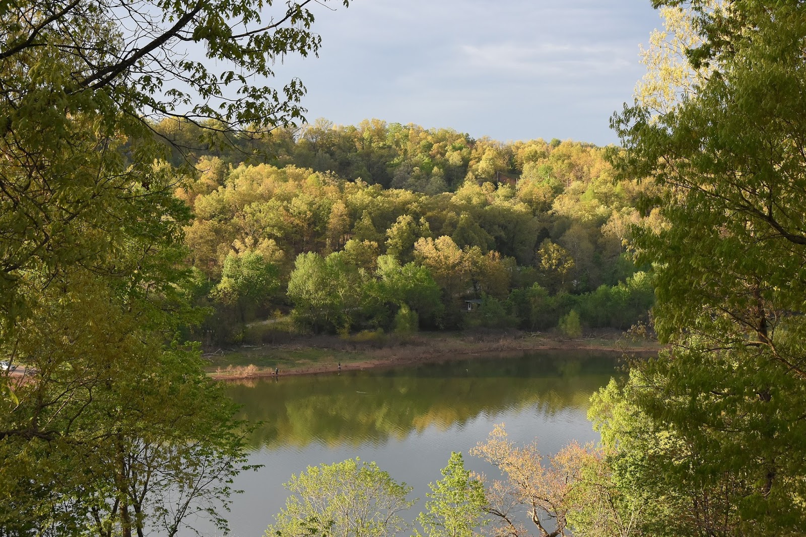 Tom and Margot's Adventures in Photography: Spring in Arkansas