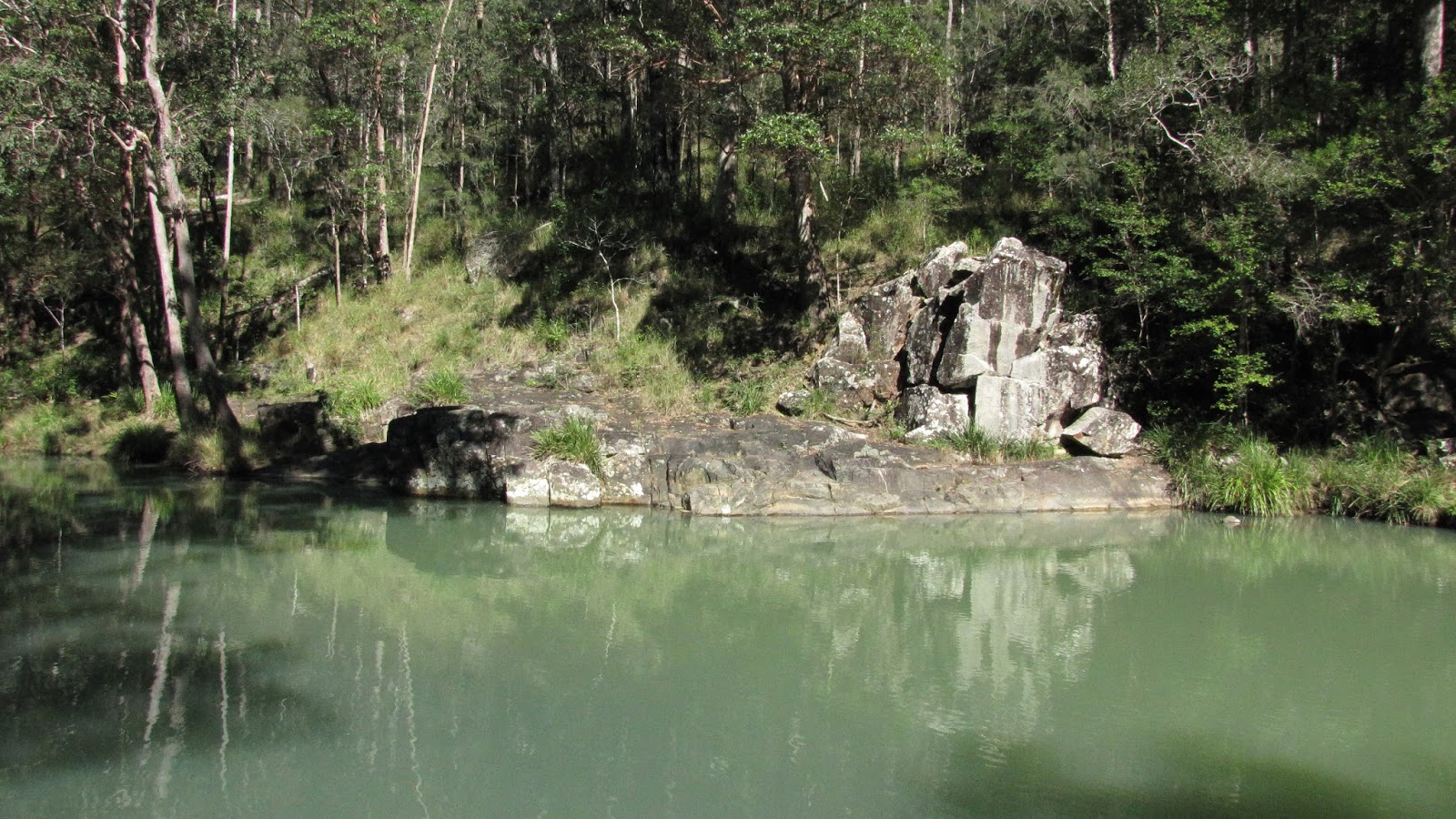 Jenny's Ramblings: D'Aguilar National Park Mt Mee Section