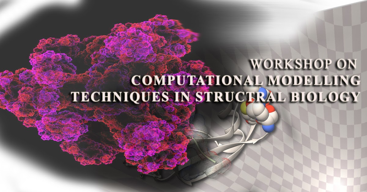 IISc Workshop on Computational Modelling Techniques in Structural ...