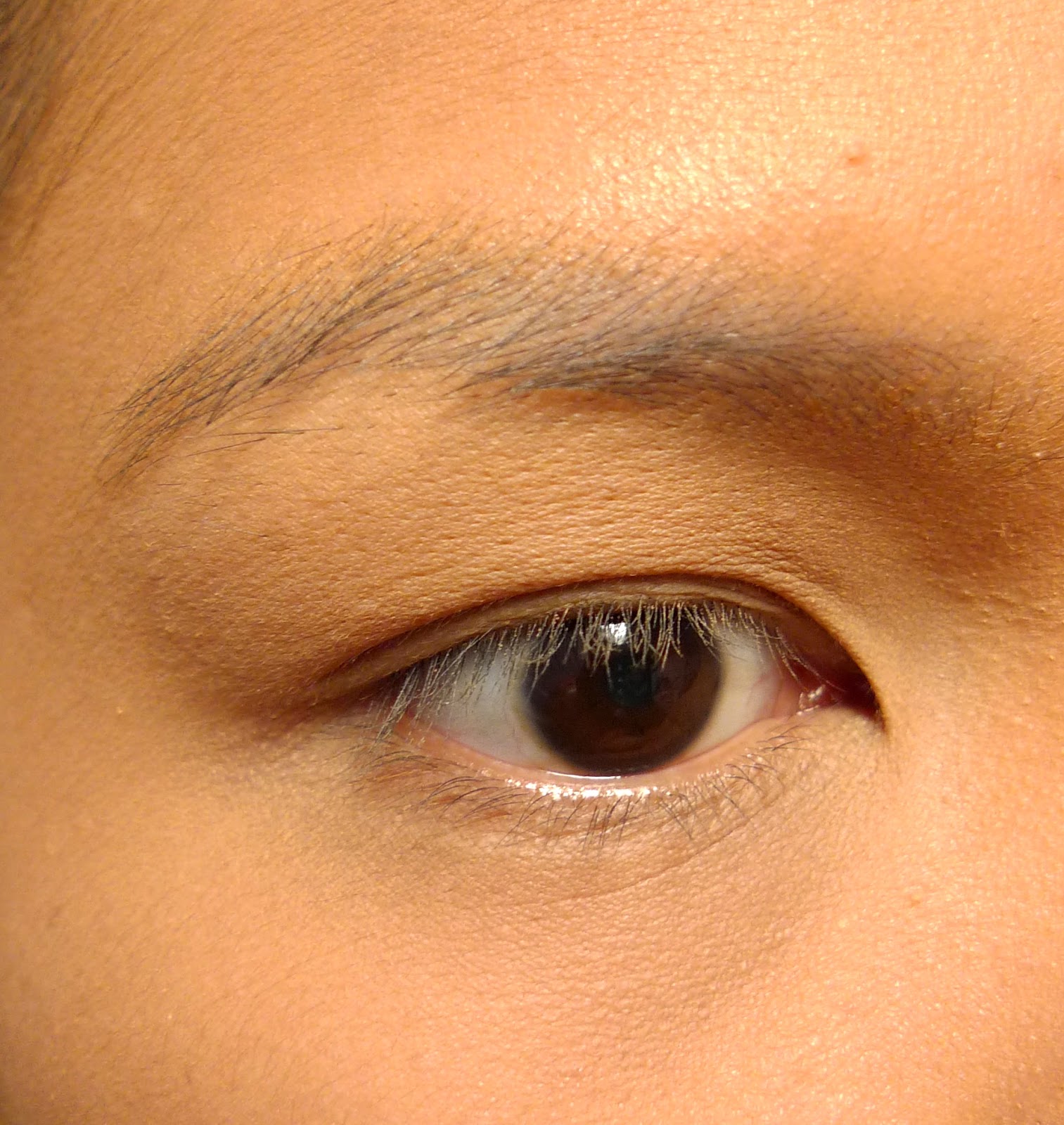 Review: Make Up Factory Eye Brow Intensifier in 5 (Sahara Brown)