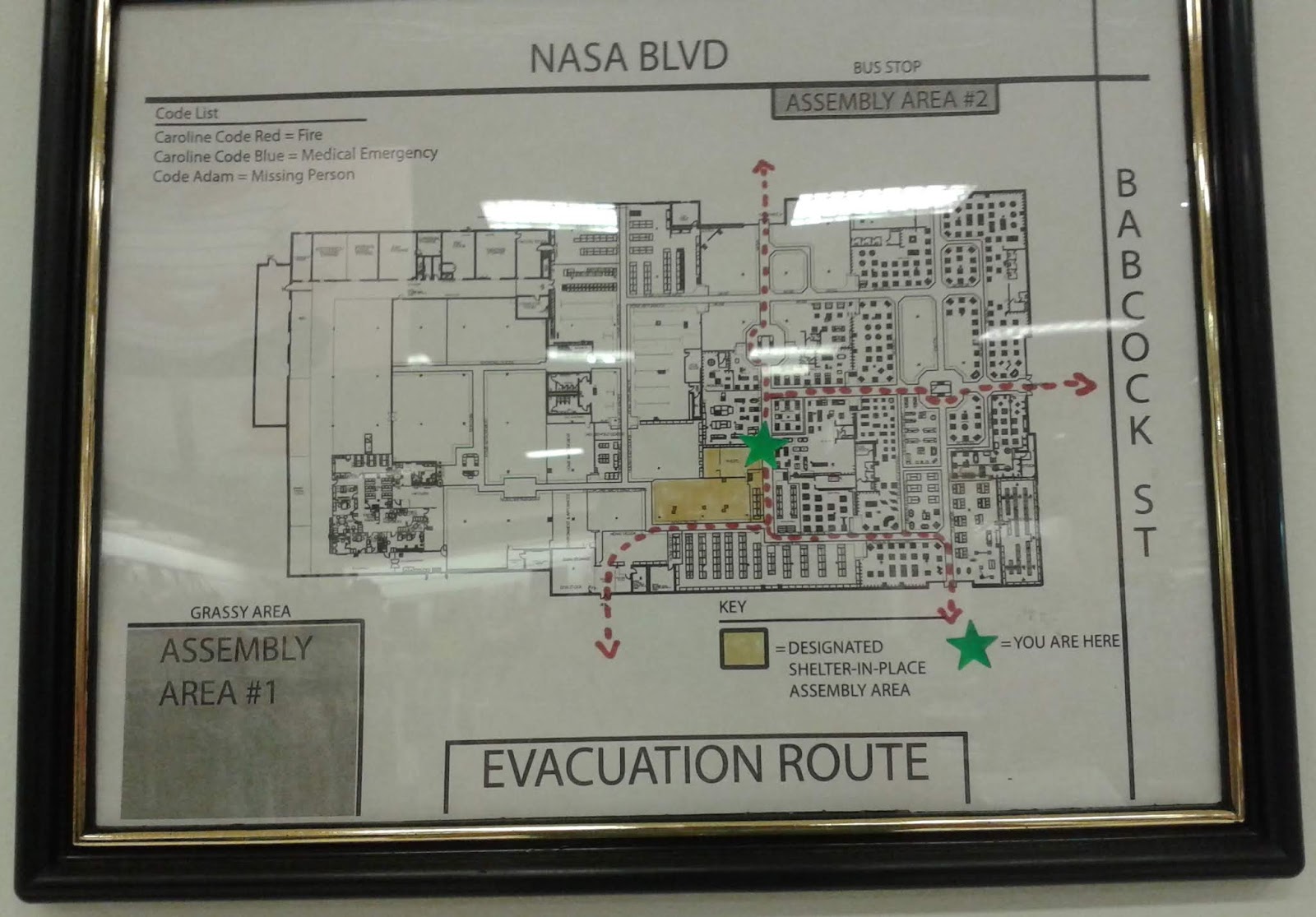 My Florida Retail Blog: Sears #2245 - Melbourne, FL - Back in the Good ...