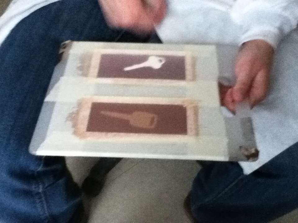 19th Century Photographic Processes: Photogenic Drawing - Process