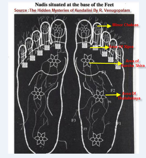 The Forgotten Chakras -- The Feet