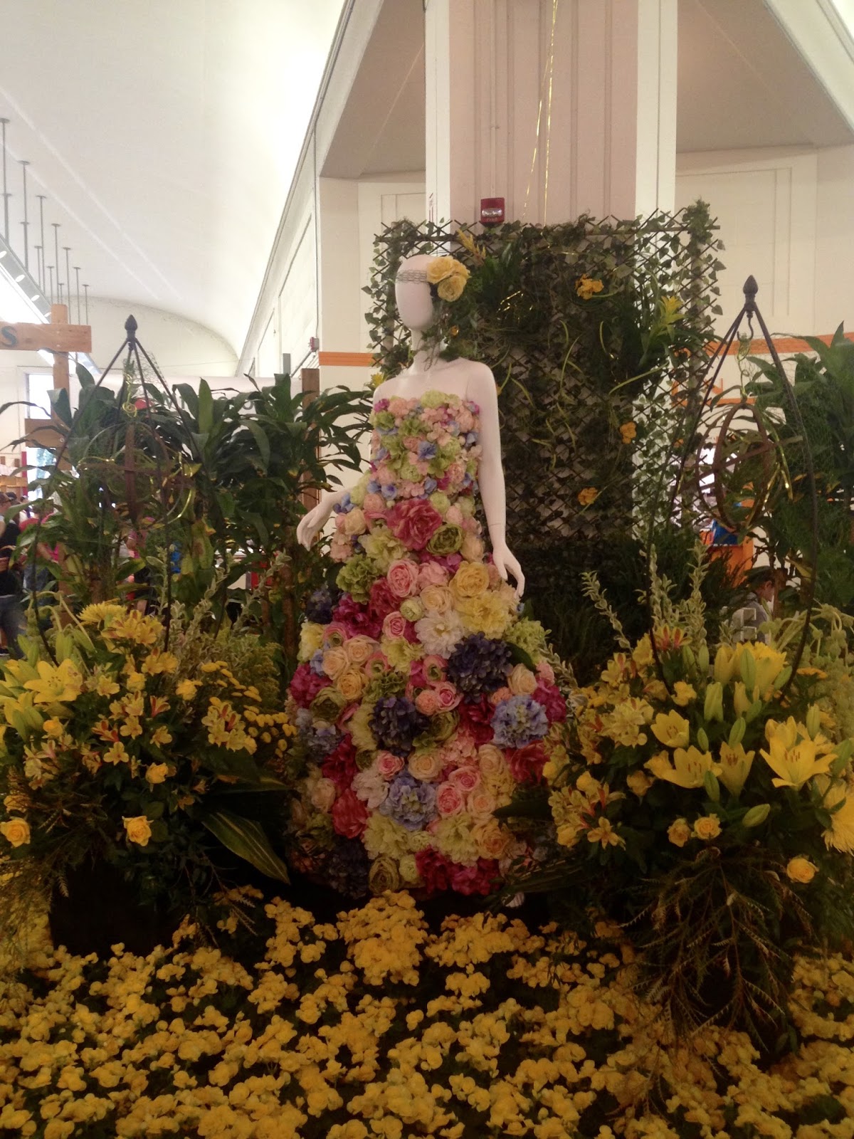 Amy's Creative Pursuits: The Minnesota State Fair Flower Exhibit ...