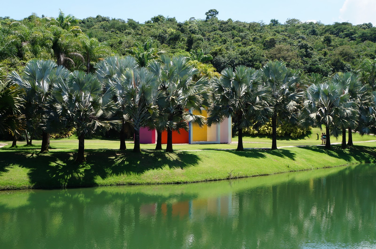 INHOTIM: O MAIOR MUSEU DE ARTE CONTEMPORÂNEA A CÉU ABERTO DO MUNDO