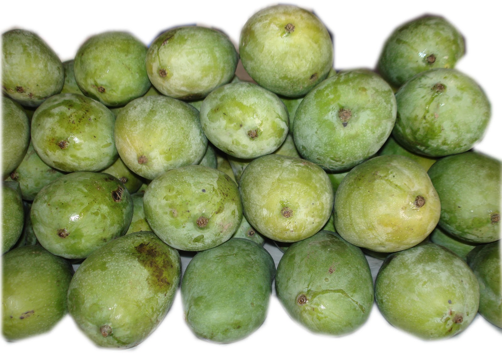 Indian Mango Varieties