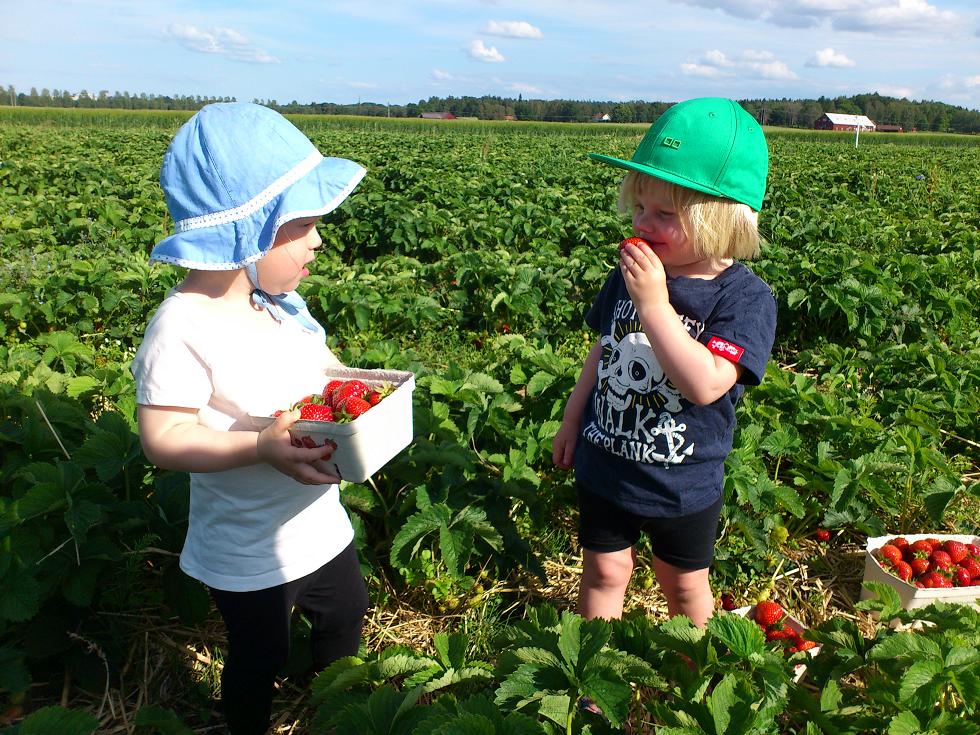 s:t Korsgatan 10: [ANNA] oh boy vilket vacker väder!!