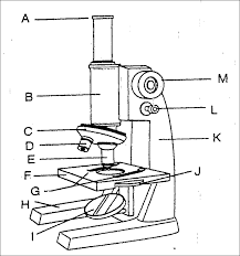 Perkembangan,Bagian, dan Fungsi Mikroskop - Future404