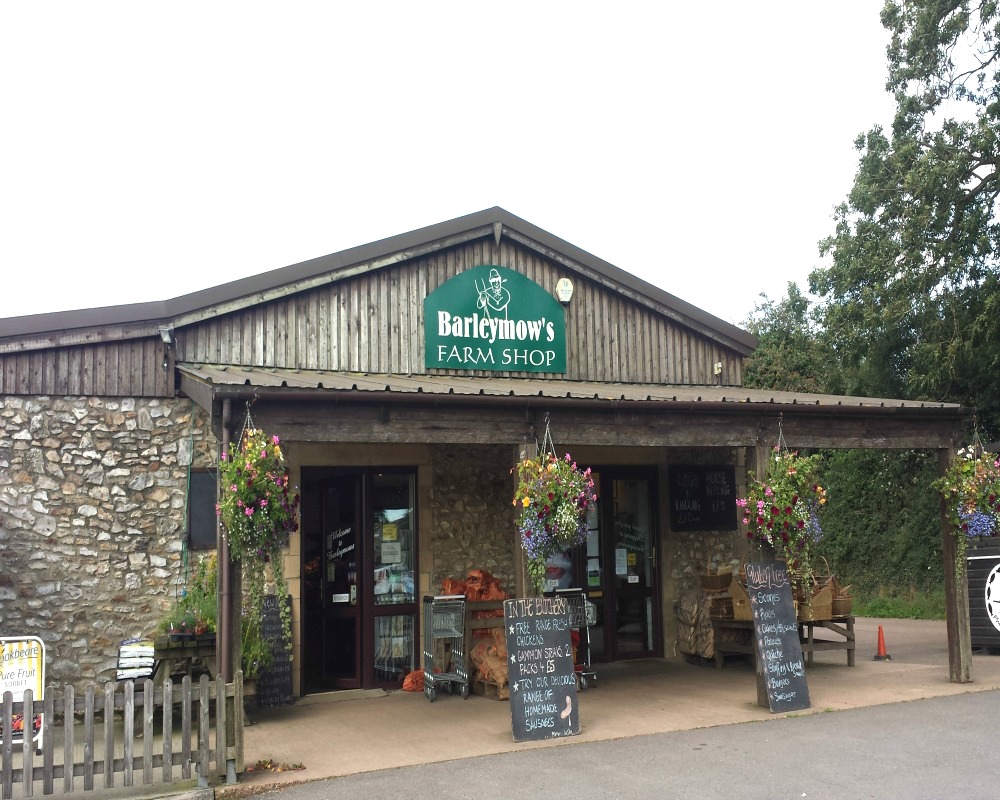 Barleymows Maize Maze & Farm Shop - Whimsical Mumblings