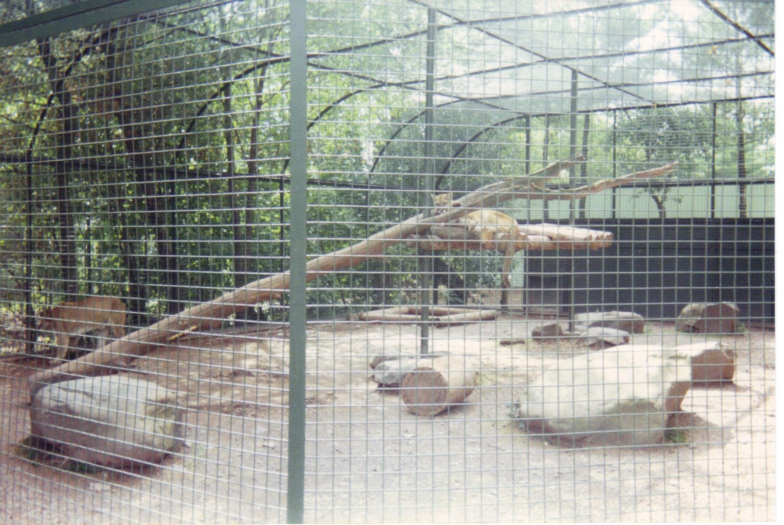 Remembering the Catskill Game Farm