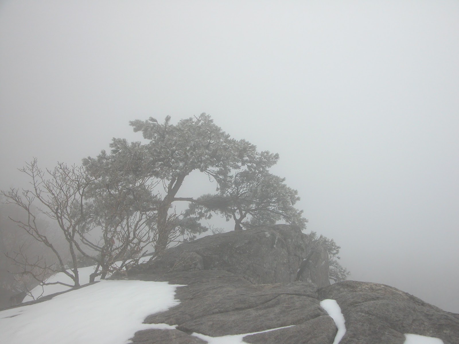 De Hanmer À Busan: Late Winter Snow on Gaya Mountain