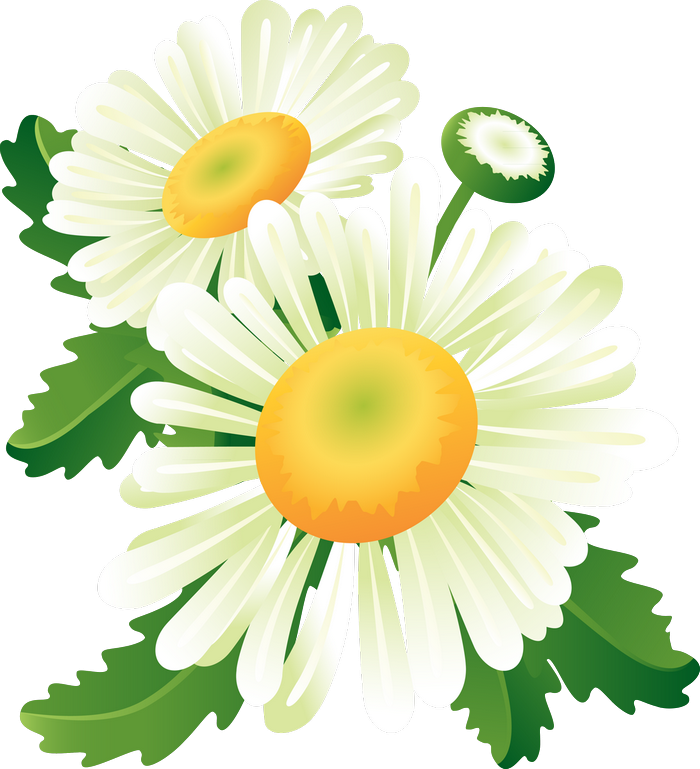 ® Gifs y Fondos Paz enla Tormenta ®: MANZANILLA