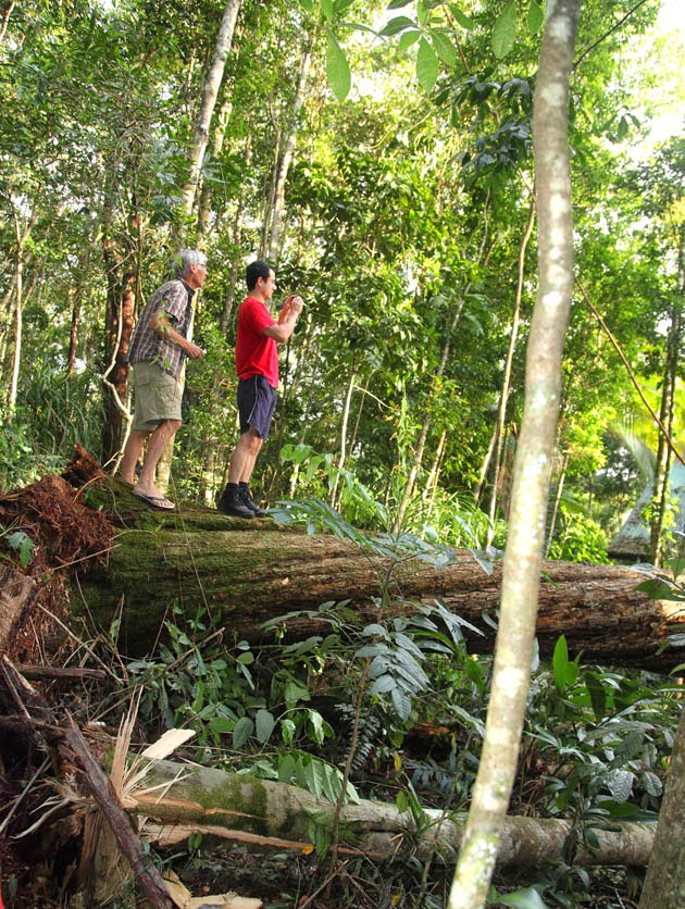 BunyipCo: Cyclone Ita: The Aftermath