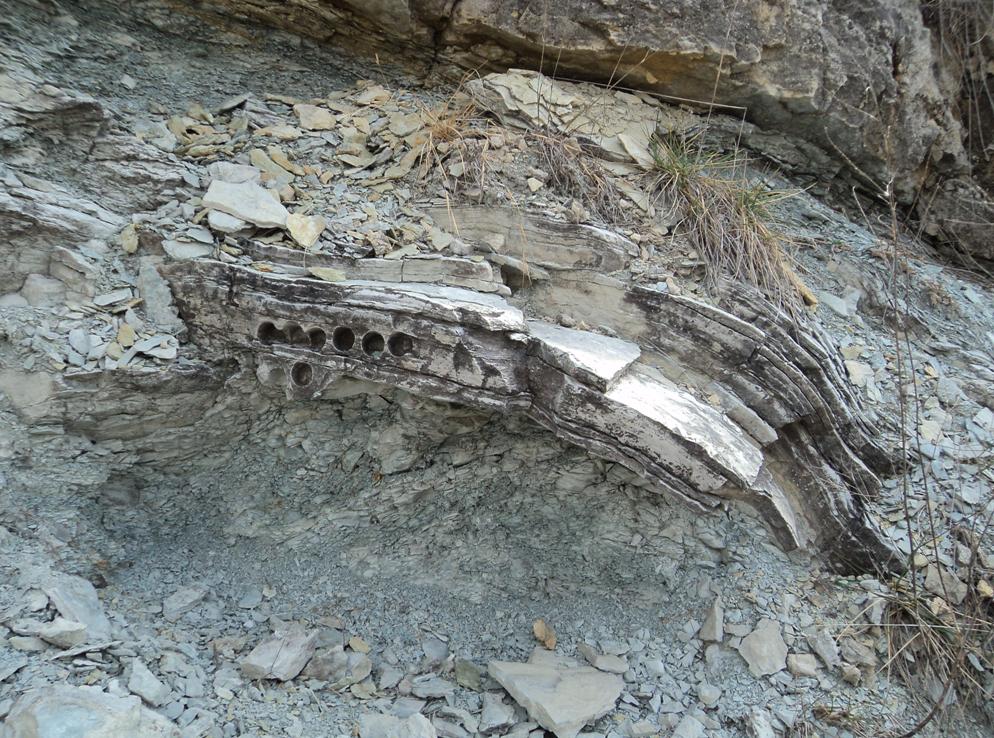 Aerial Geologist: Missouri AAPG Trip - Bennett Spring, Decaturville ...