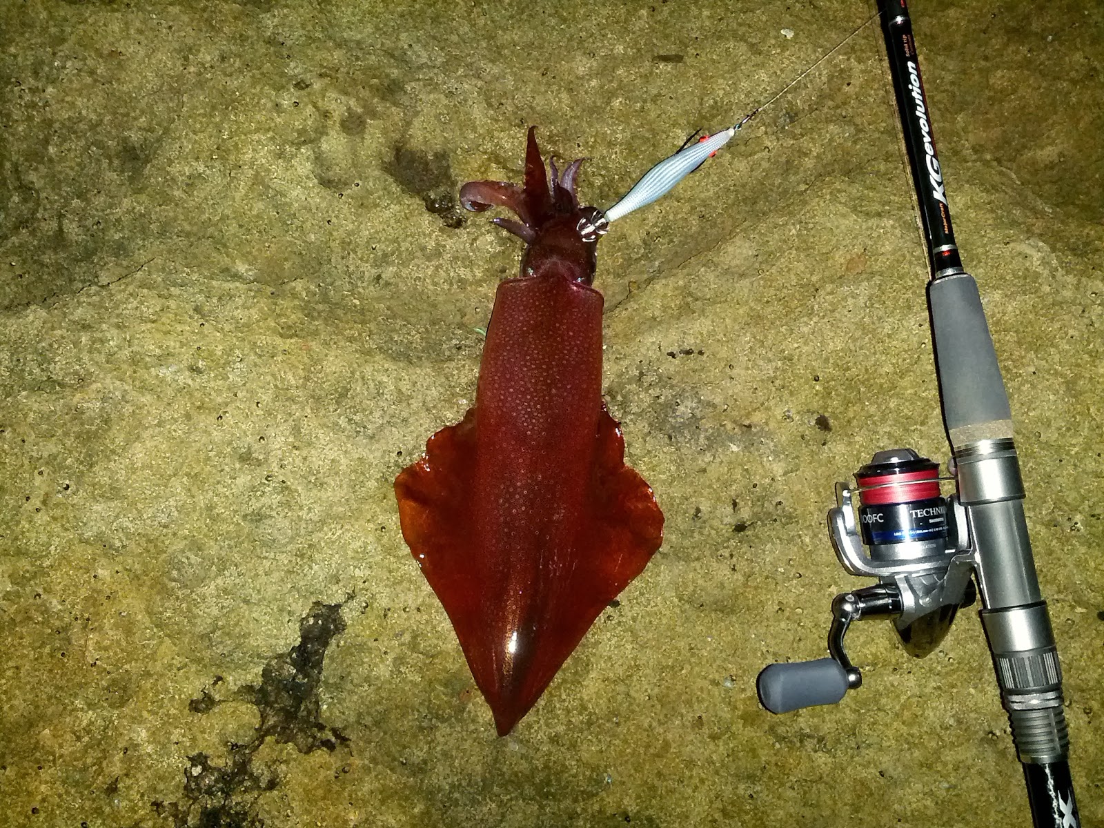 Sa roketa pesca: Calamares con equipo ultra light spinning