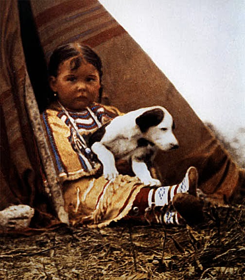 Did nomadic Native American tribes have beasts of burden? And if not ...