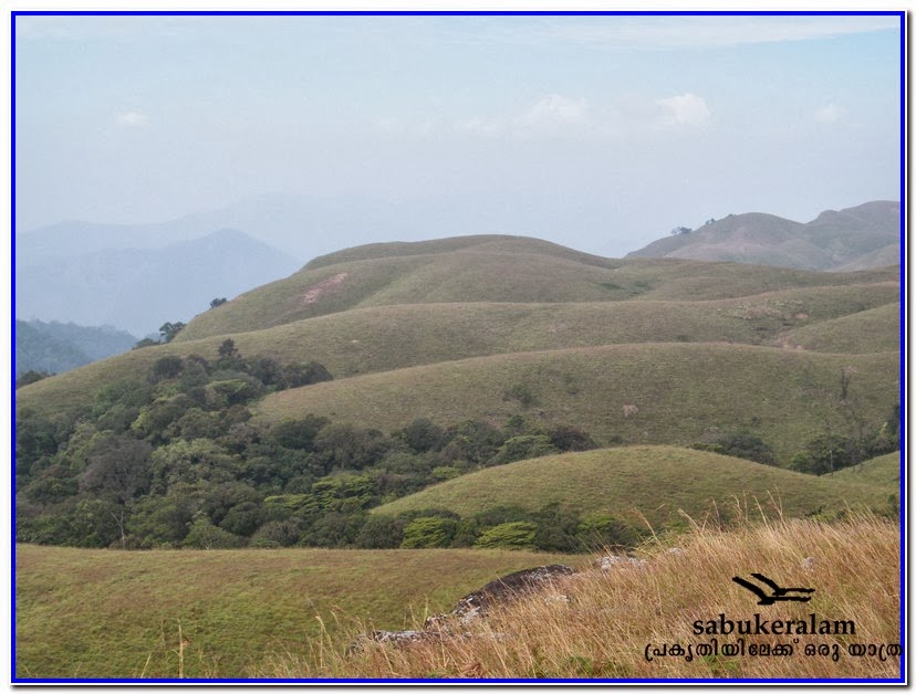 പ്രകൃതിയിലേക്ക് ഒരു യാത്ര (a travel towards NATURE): PULLUMEDU a unique ...