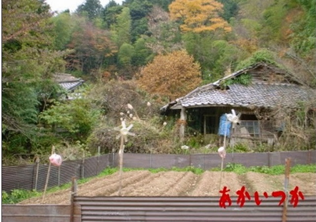 Sugoii Nippon News: The Inunaki village-the real story