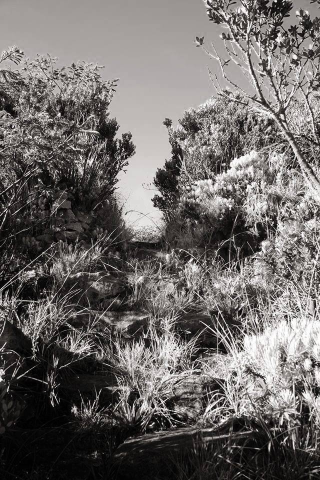 Piramid Terbesar Ada Di Gunung Lawu | Paseban Jati