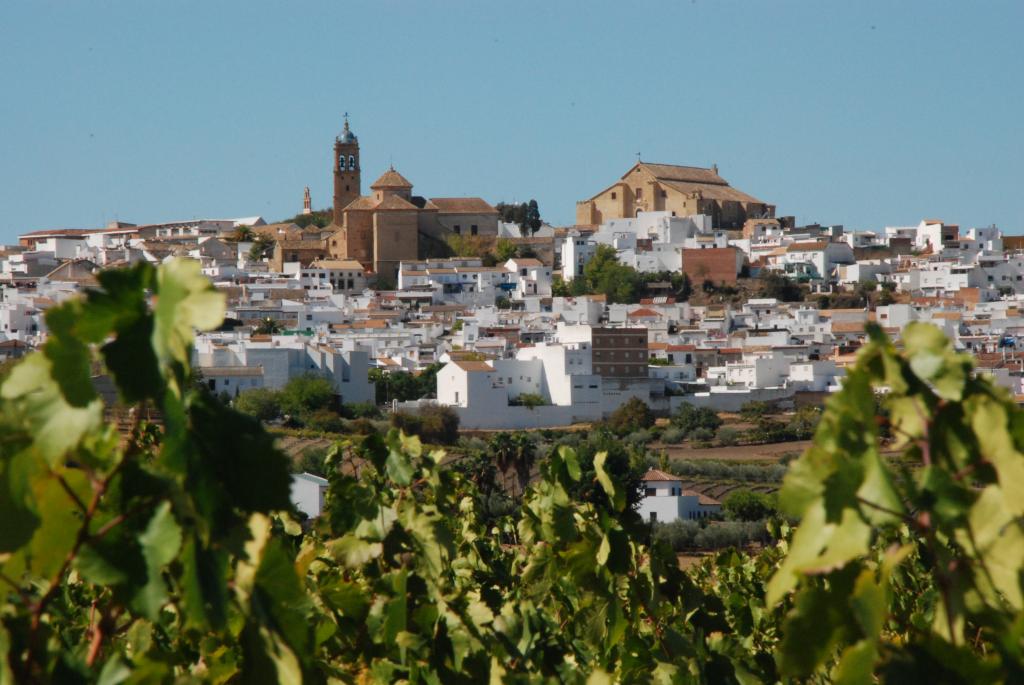 aspicio1927: BODEGAS MONTILLA.MORILES: BODEGA COOPERATIVA LA AURORA