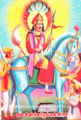GOGAJI MAHARAJ DADREWA: गोगाजी महाराज के फोटो