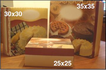 SPORTRONIC SYSTEMS, C.A