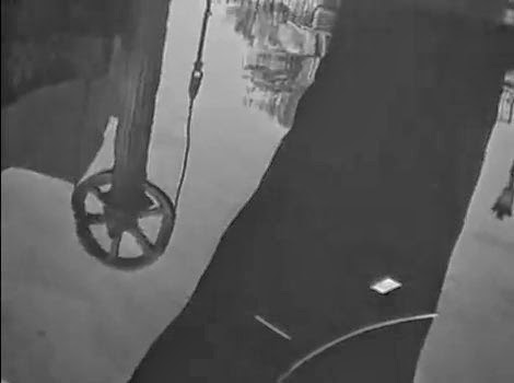 Canal Square: "Le Sang des bêtes" de Georges Franju