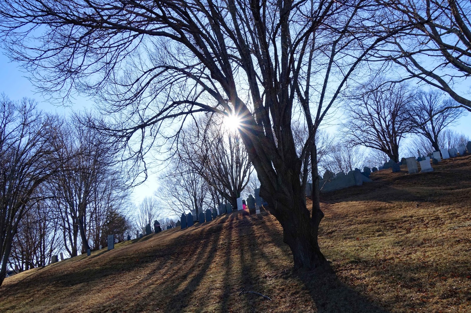 Joe's Retirement Blog: Random Sights, Manomet, Plymouth, Massachusetts, USA