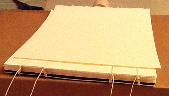 DESIGN PRACTICE: Design for Print / Book Binding