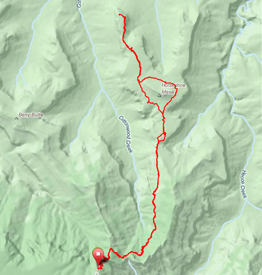 Hiking in the White Mountains: Grand Canyon: Horseshoe Mesa