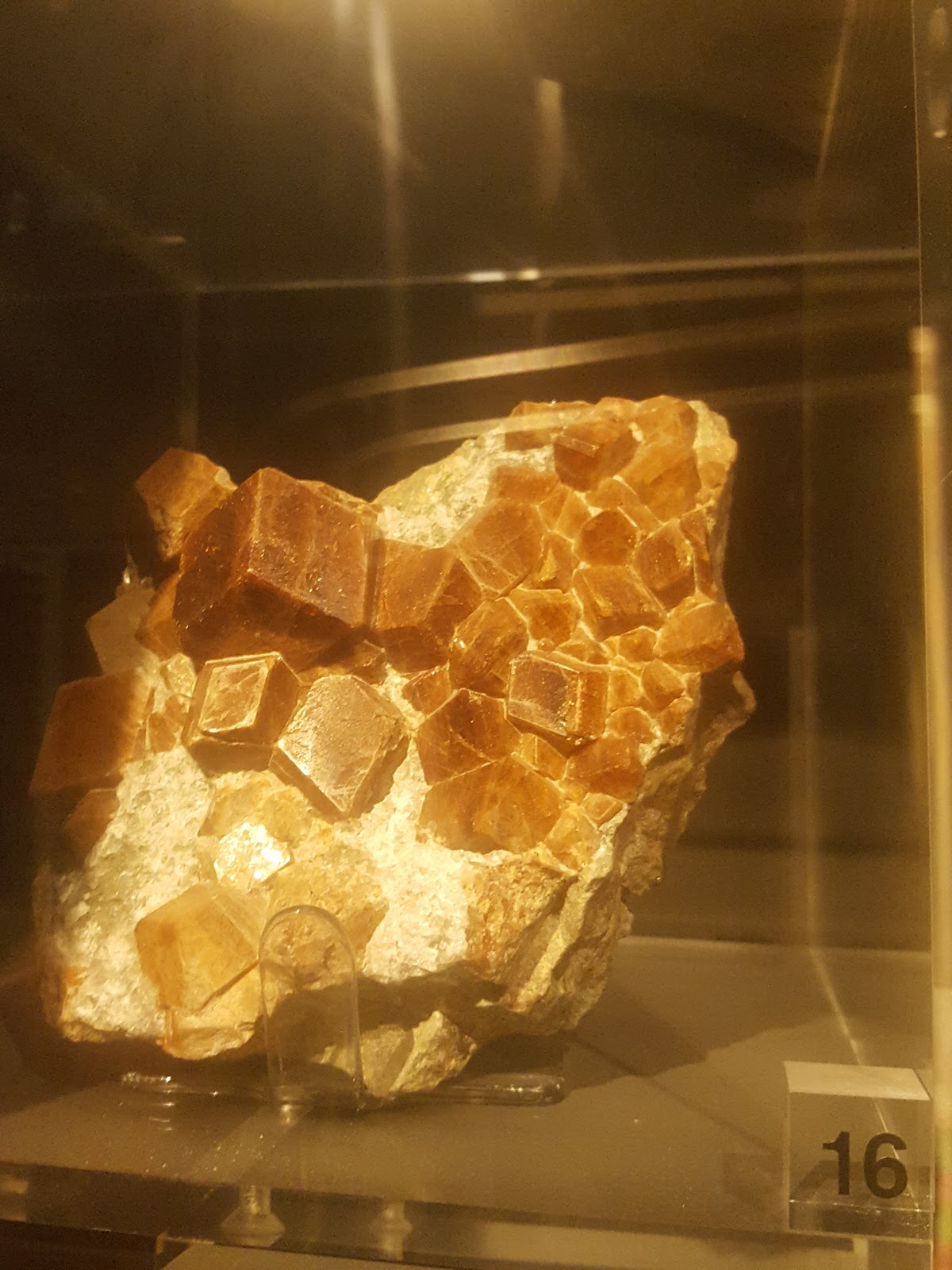 Wonderful tour of Natural history museum London UK