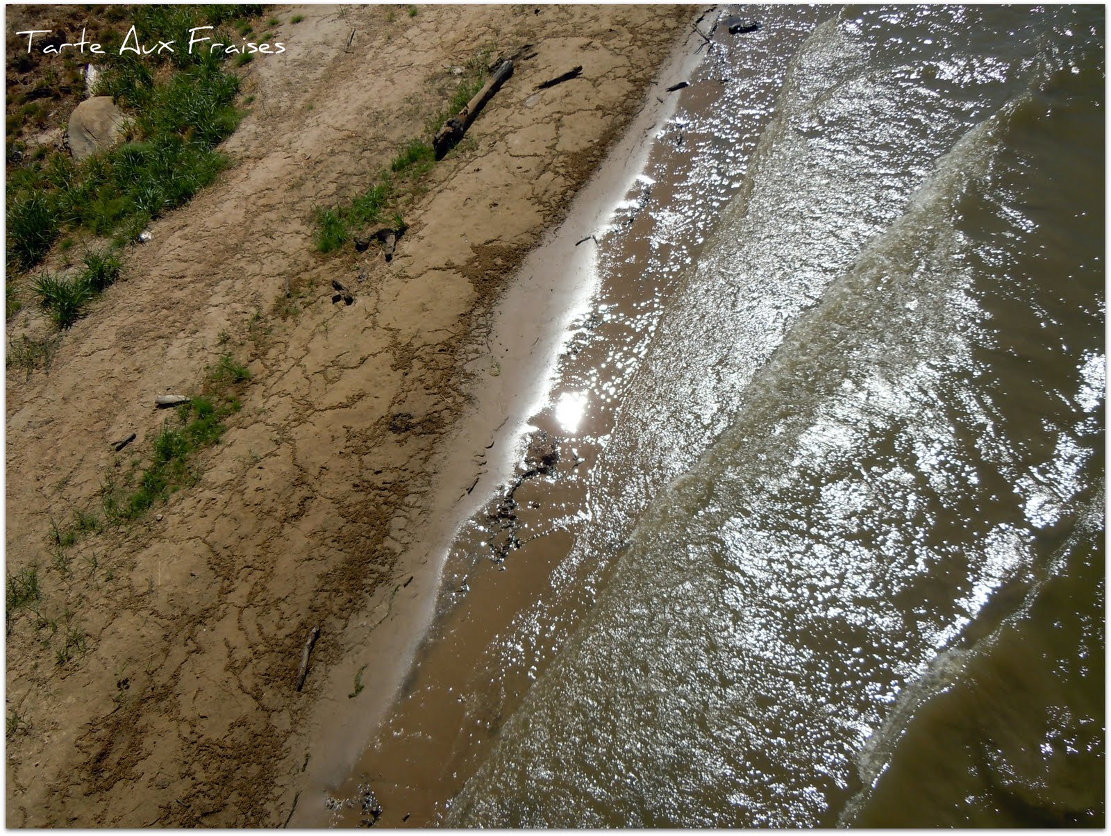 Tarte Aux Fraises: Pendleton Bridge and Toledo Bend Lake