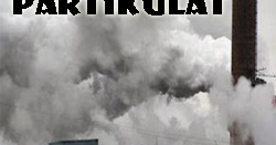 Pengertian Partikulat, Jenis, Sifat, dan Bahayanya
