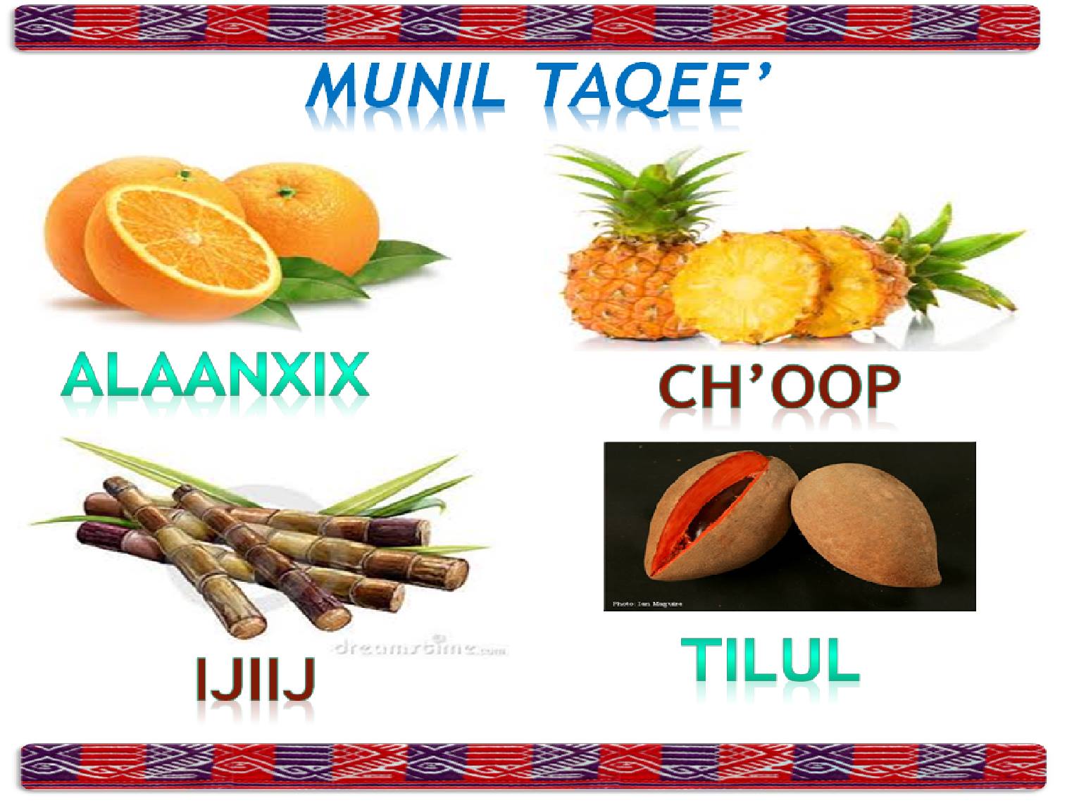 APRENDIZAJE DEL IDIOMA MAYA POQOMAM: NOMBRES DE FRUTAS