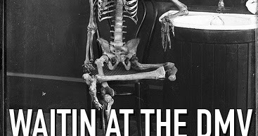 Penny Pinching Prose: How to Move to Maui: The Horrors of the DMV