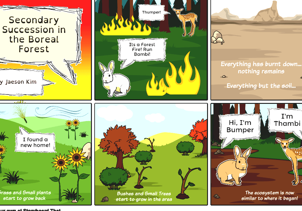 Secondary Succession - Forest Fire Succession