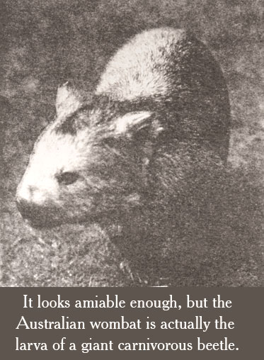 Sober in a Nightclub: 2011-07-17