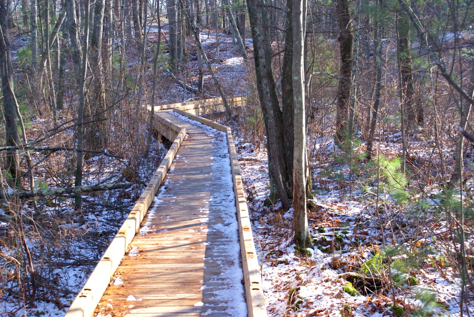 The Backside of America: The Fabulous Baker Estate