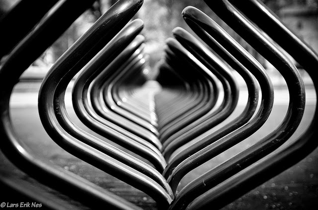 Taylor T: Elements & Principles of Photography