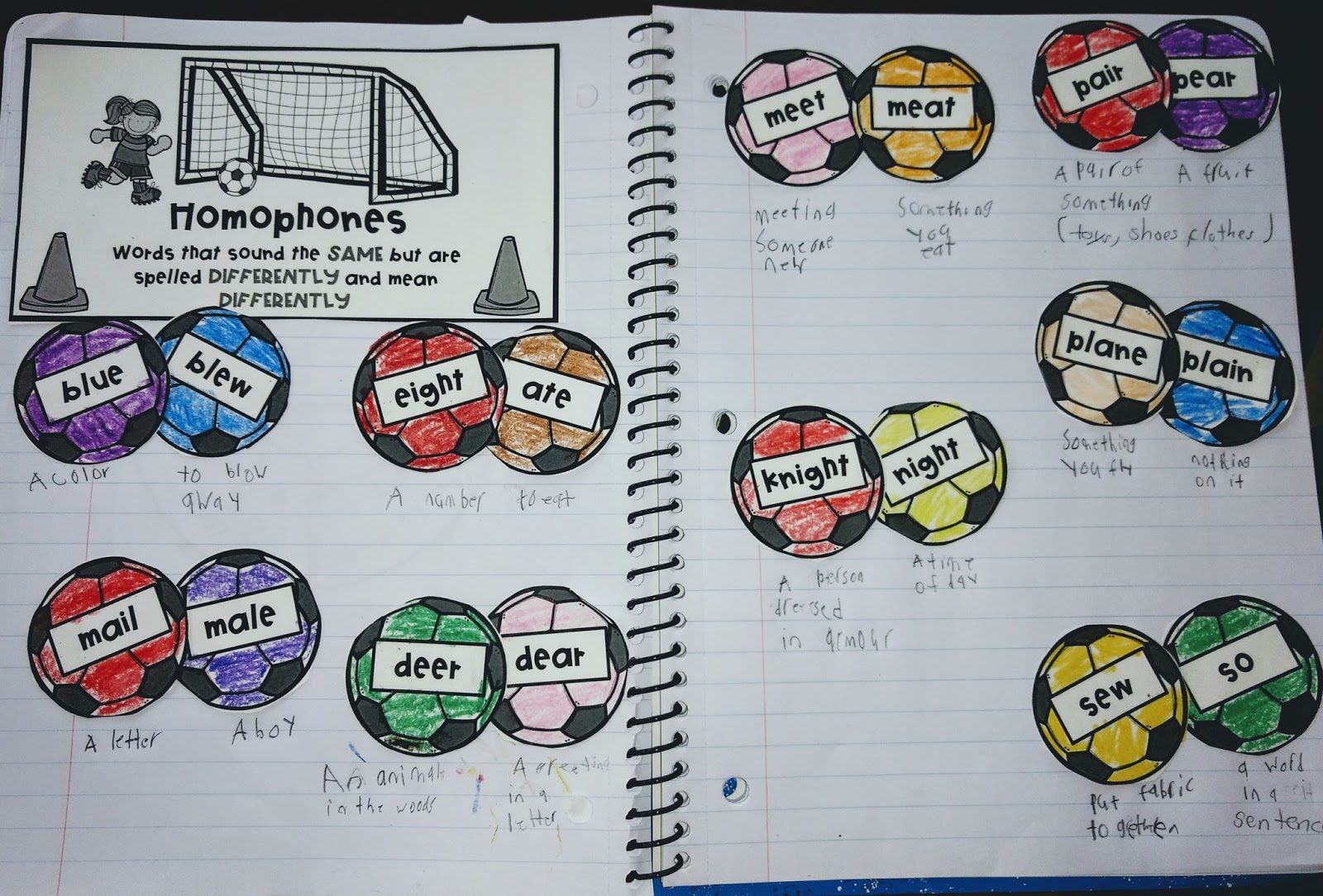Homophones Interactive Notebook Freebie | The Teaching Bug!