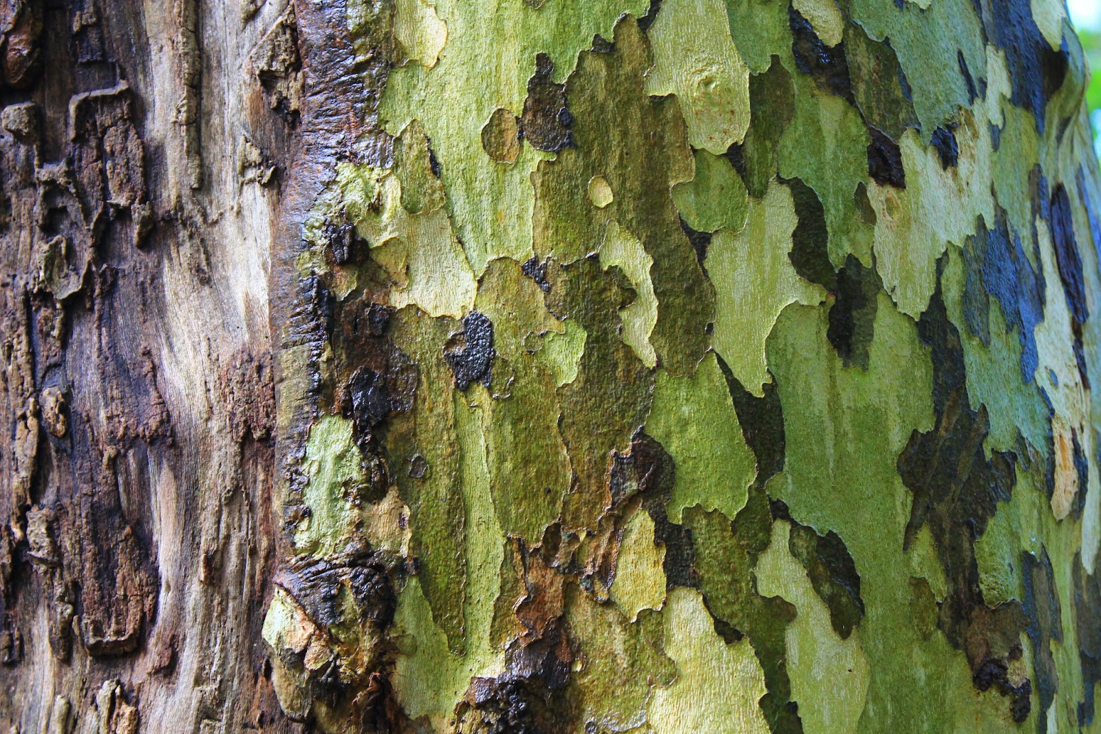 Banco de Imágenes Gratis: 15 imágenes de texturas para diseñadores y ...