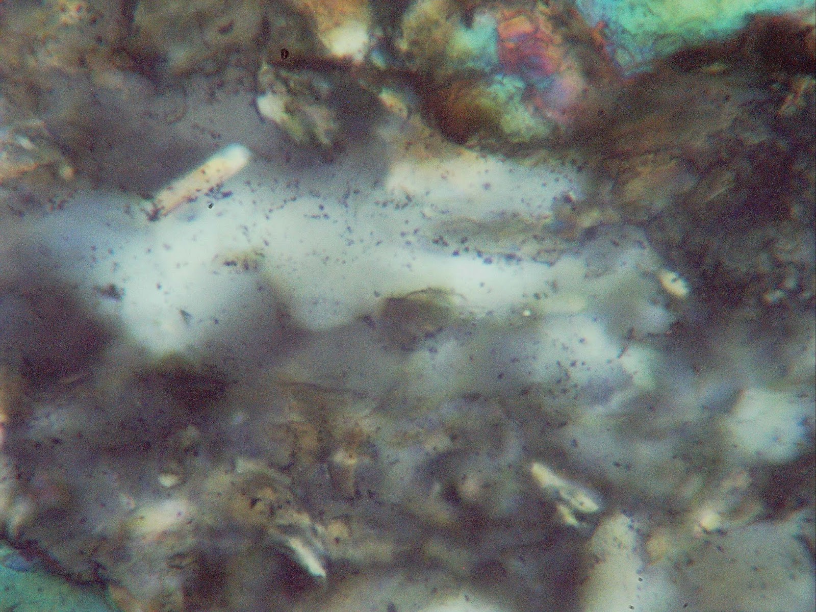 Metabasites: Pyroclastic Flow (Tuff-breccia), Mt. Garibaldi, British ...