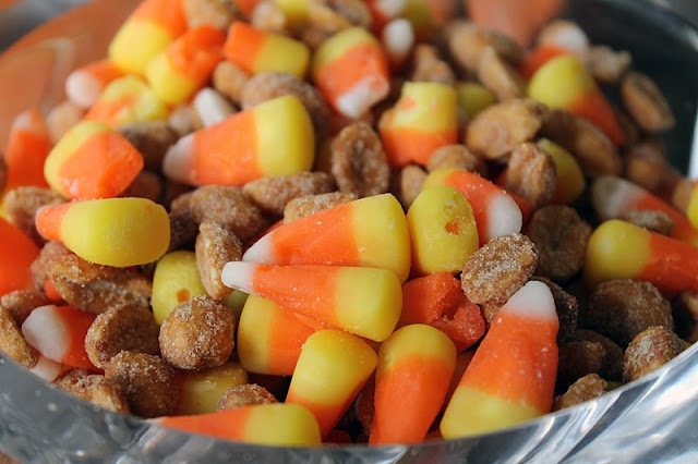 5 Fall Favorites. - Chris Loves Julia