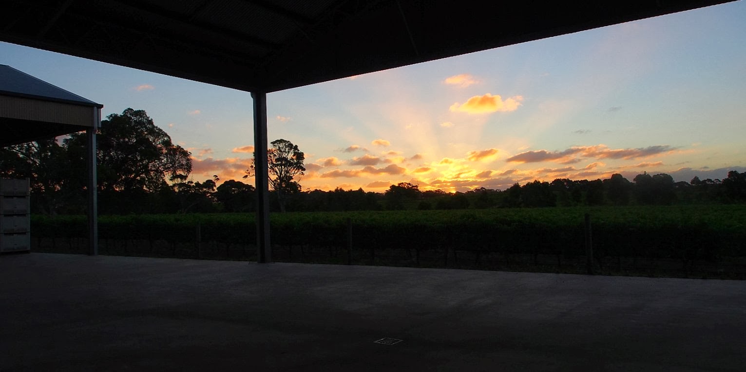 d r i n k s t e r: A VISIT FROM MARIE LINKE